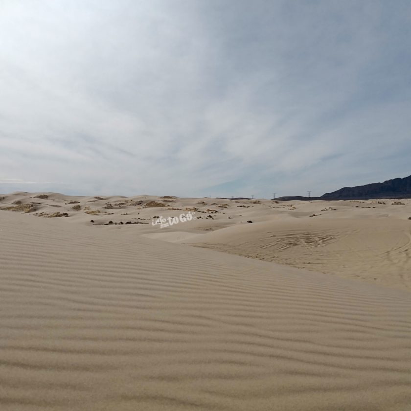 Dunas de Samalayuca, Chihuahua - Viajes Info To Go