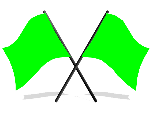 Conociendo más la F1: Banderas - Viajes Info To Go